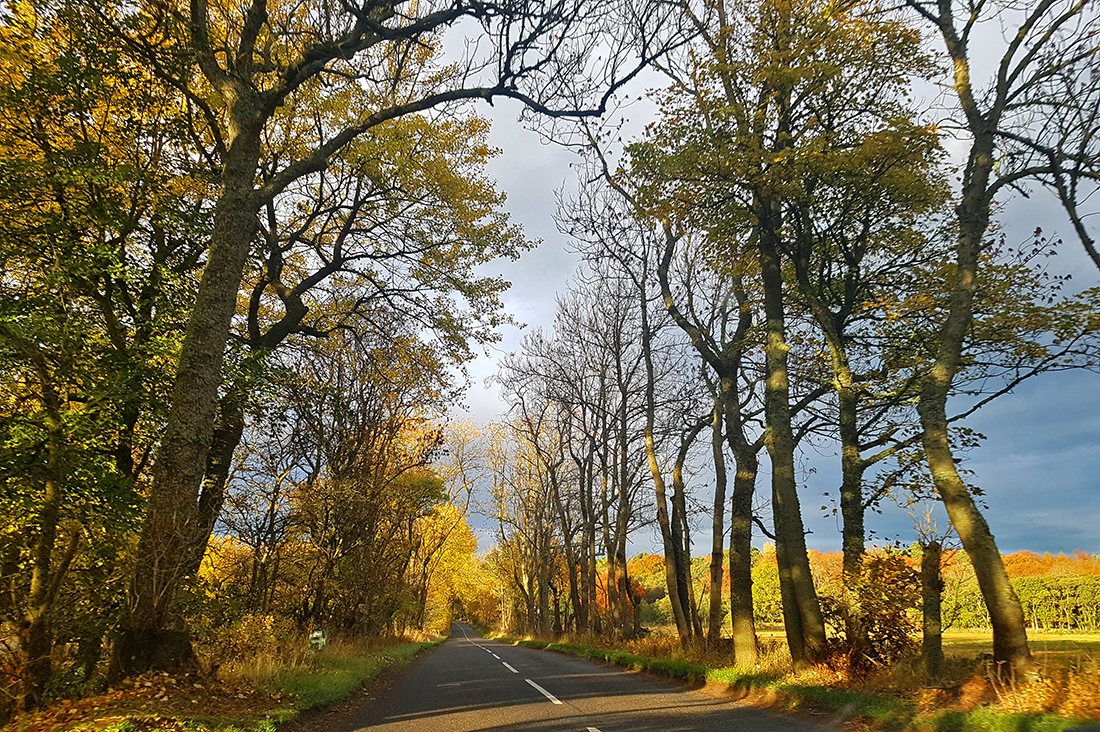 Dramathon 2018 | Moab.in