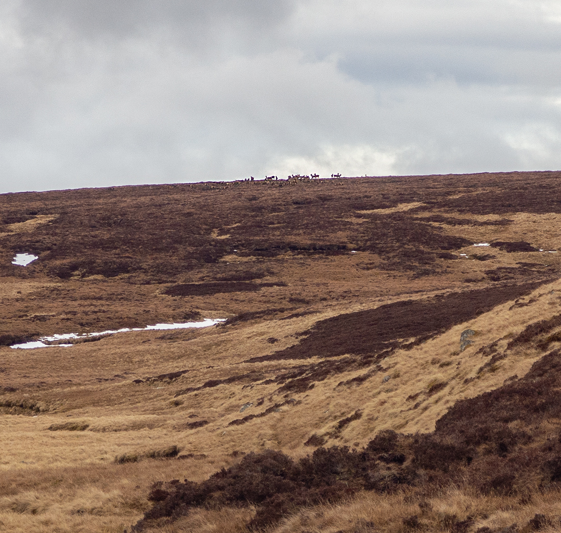 Glen Muick to Glen Mark | Moab.in