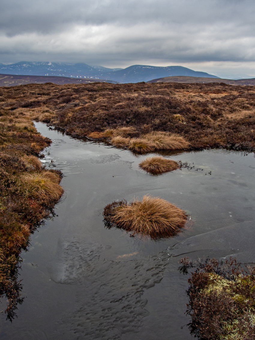 Glen Muick to Glen Mark | Moab.in