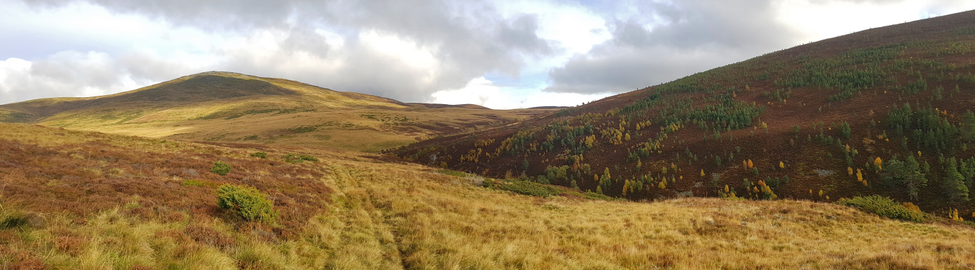 Crannach Hill | Moab.in
