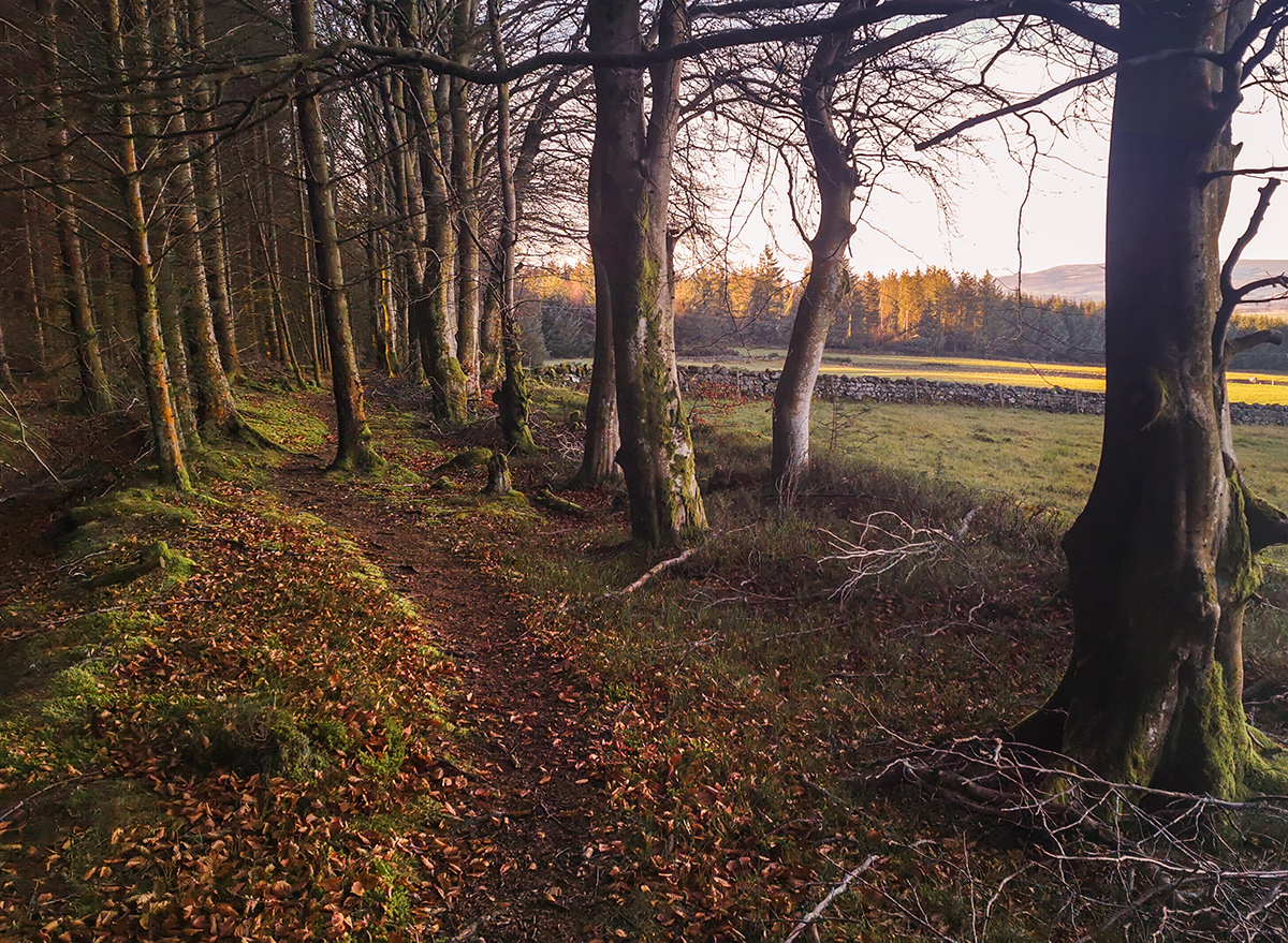 Elsick Mounth | Moab.in