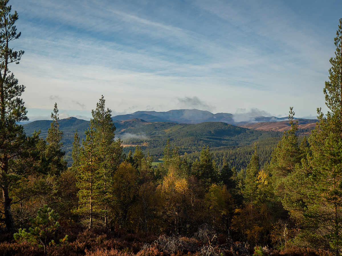 Crannach Hill | Moab.in