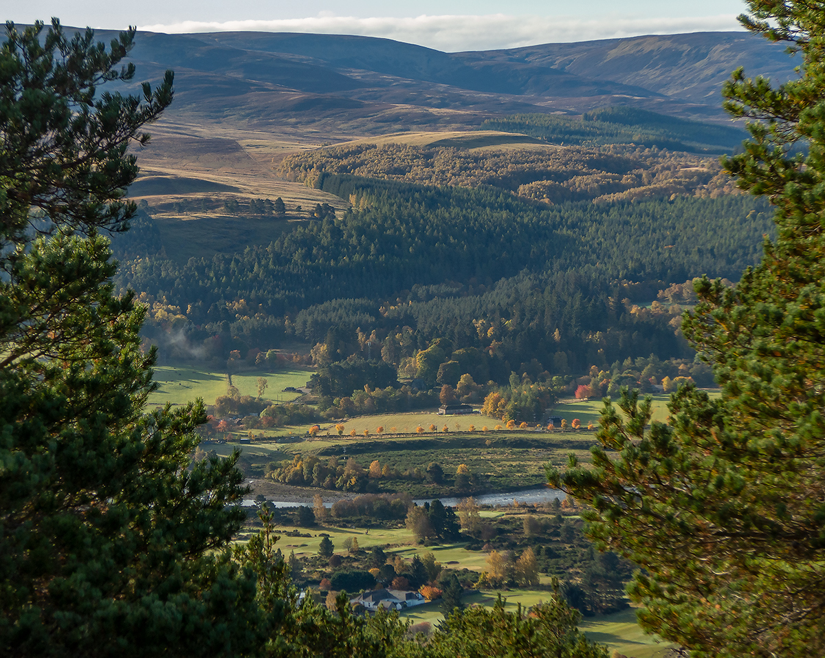 Crannach Hill | Moab.in