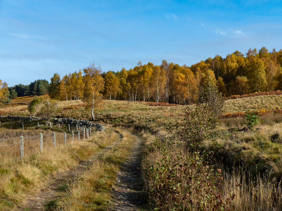 Crannach Hill | Moab.in