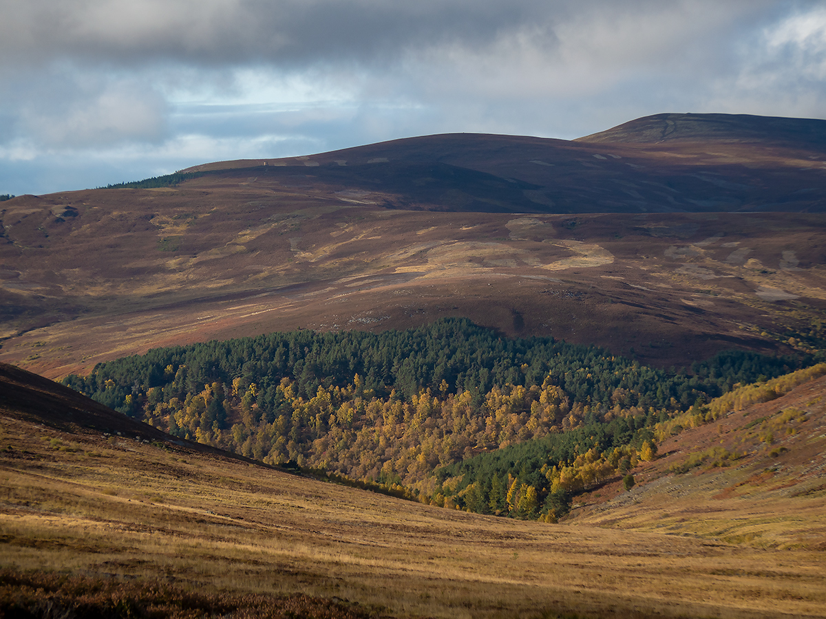 Crannach Hill | Moab.in