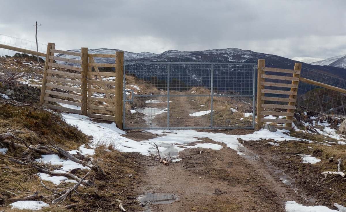 Craig Leek Carn Liath | Moab.in