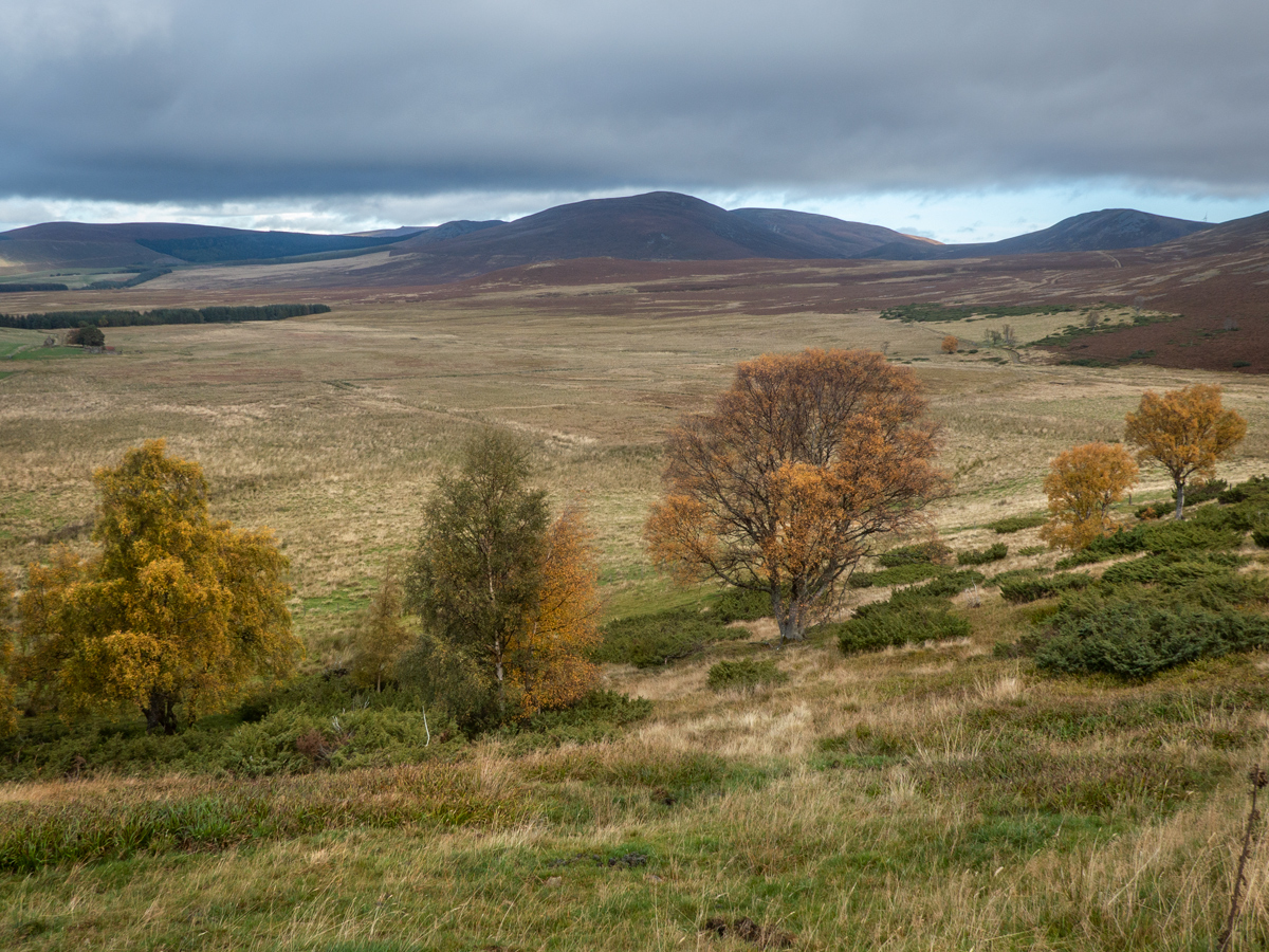 Ladder Hills | Moab.in