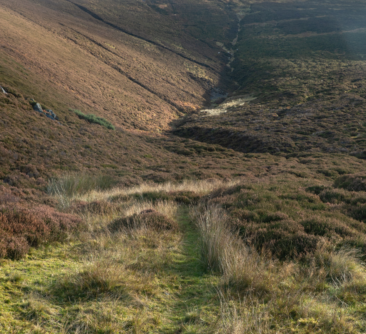 Ladder Hills | Moab.in