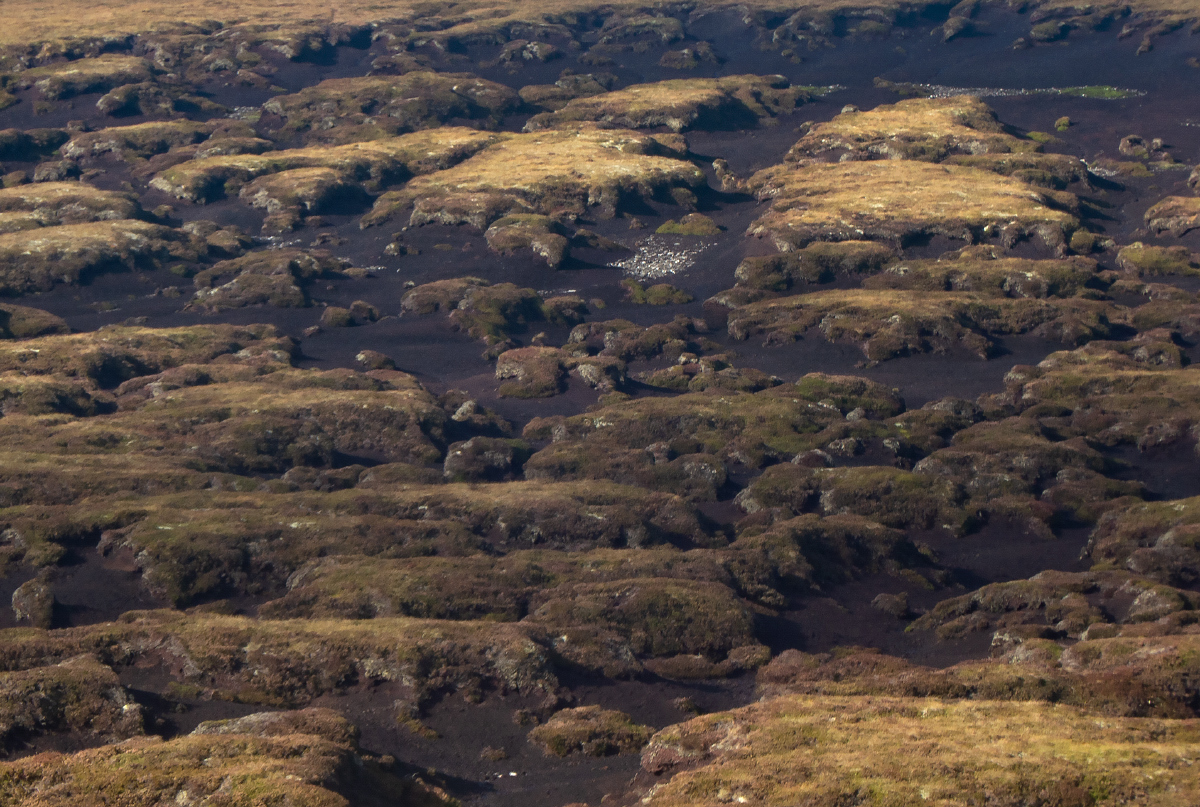 Ladder Hills | Moab.in